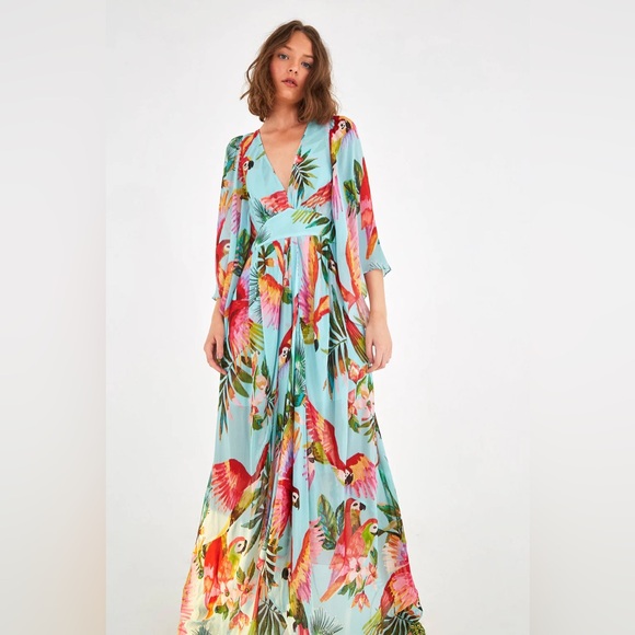 Farm Rio Blue Macaw Dress